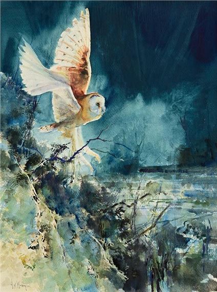 Arthur K. Maderson | Barn Owl | MutualArt