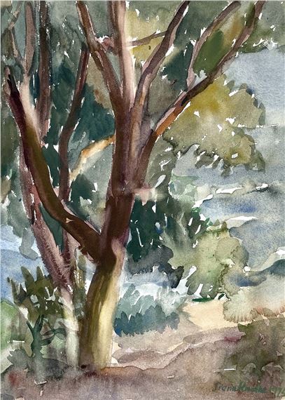 Irena Knothe | Pines (1904) | MutualArt