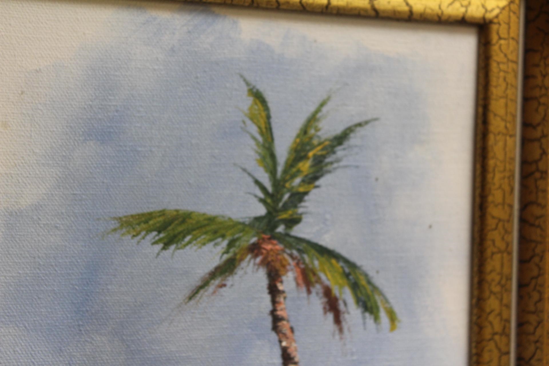 Dinny Privateer | Coconut tree on the beach (1972) | MutualArt