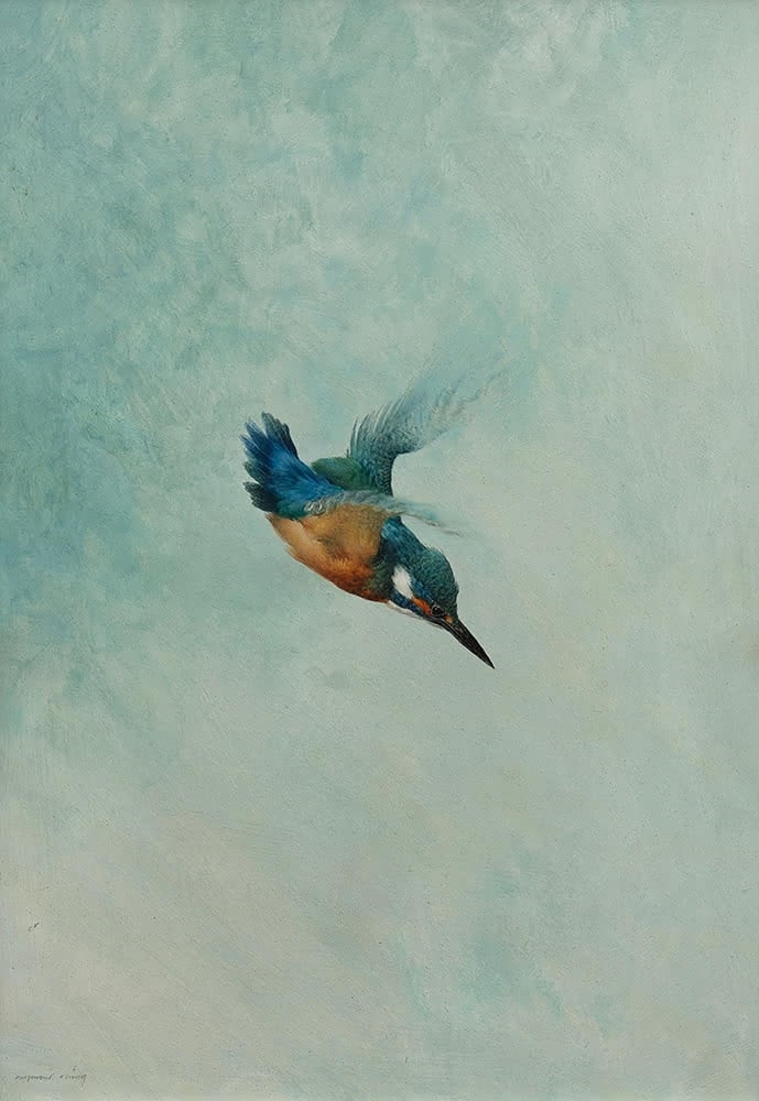 Raymond Harris Ching | Kingfisher Diving | MutualArt