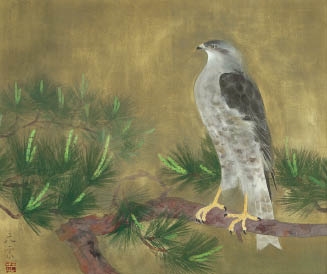 Genso Okuda | Hawk on the pine tree | MutualArt
