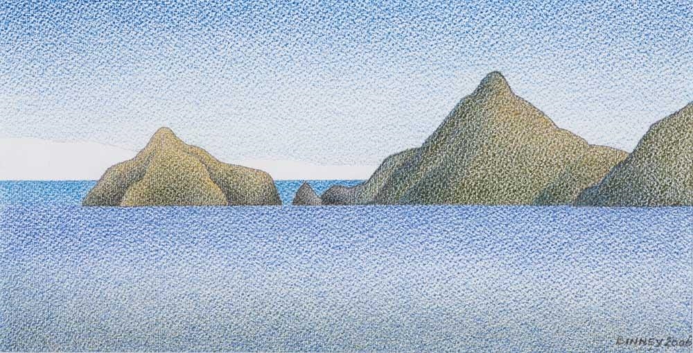Don Binney | Vanishing Wellington Bird (1971) | MutualArt
