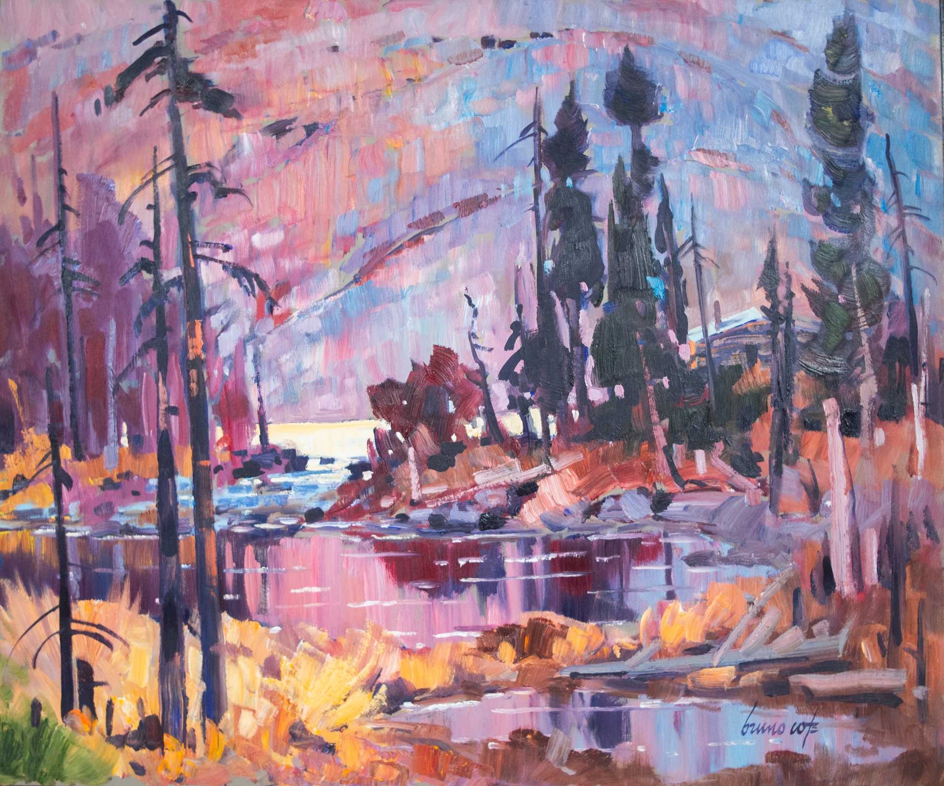 Bruno Côté | Eaux mortes, Rivière Malbaie (2002) (2002) | MutualArt