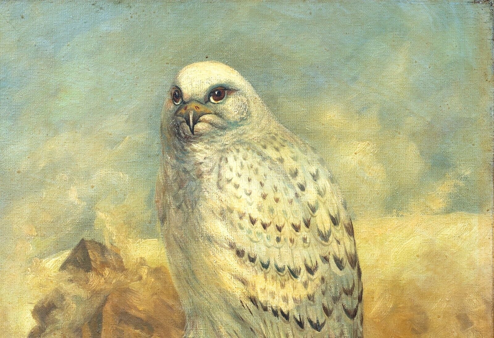 Ellen Gilbert | PORTRAIT OF A GREENLAND GYR FALCON (19th Century ...