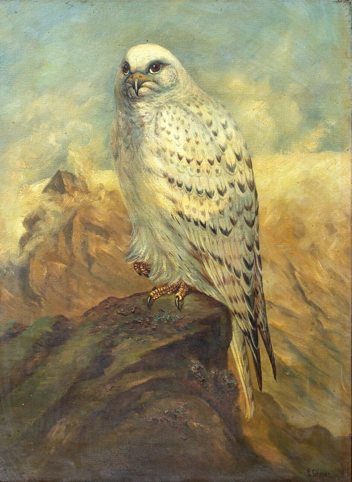Ellen Gilbert | PORTRAIT OF A GREENLAND GYR FALCON (19th Century ...