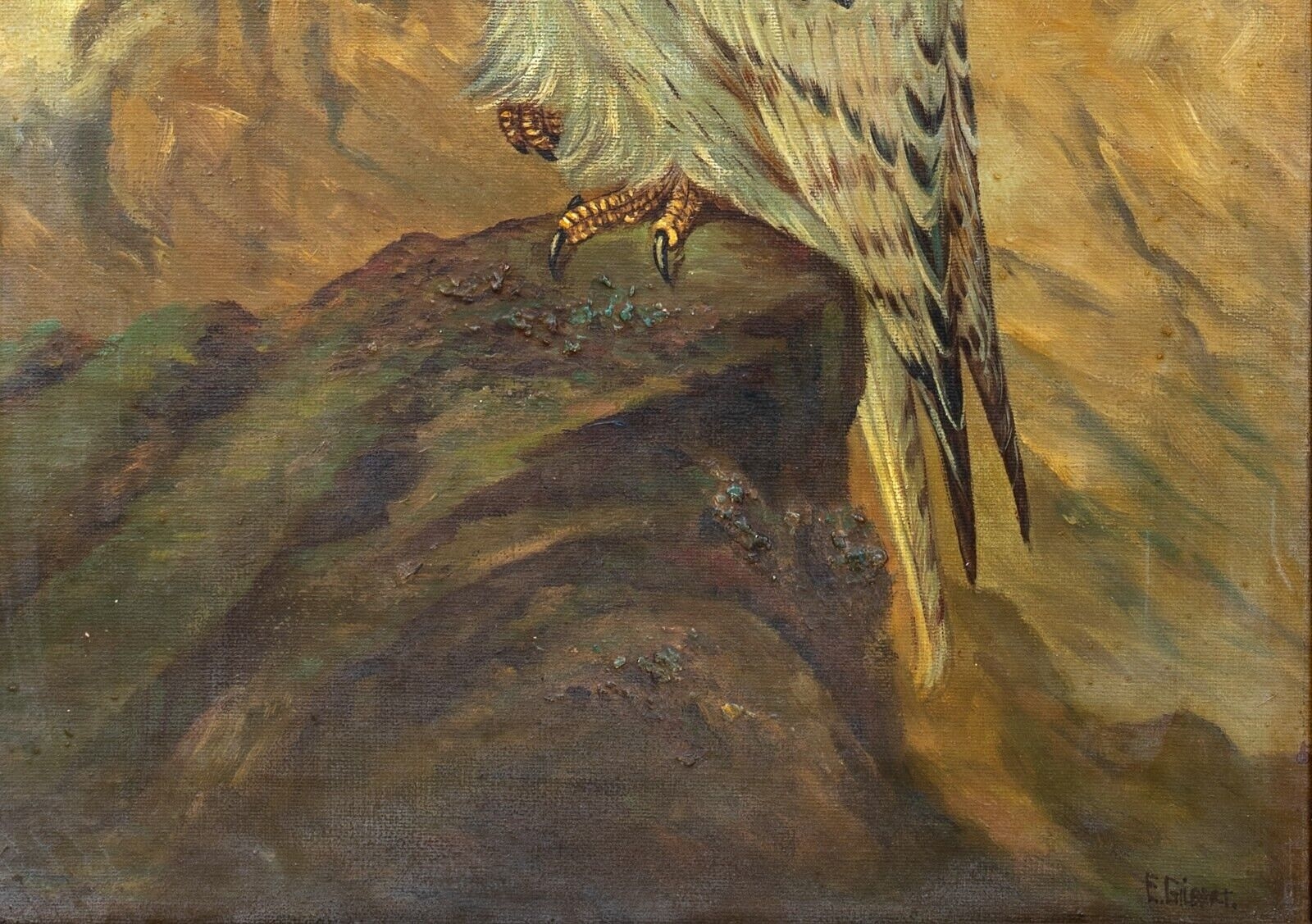 Ellen Gilbert | PORTRAIT OF A GREENLAND GYR FALCON (19th Century ...
