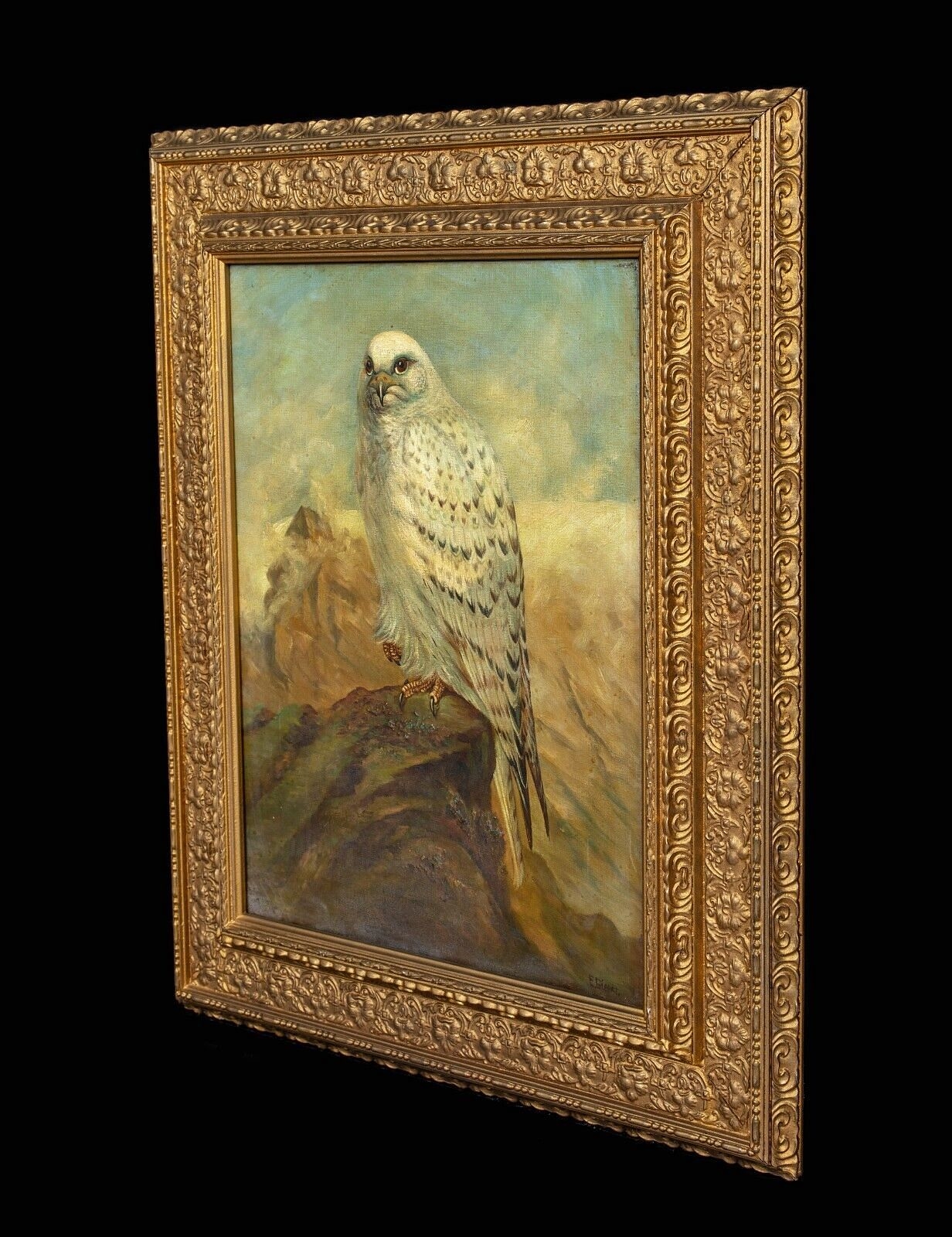Ellen Gilbert | PORTRAIT OF A GREENLAND GYR FALCON (19th Century ...
