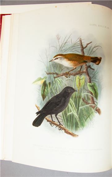 Walter Lawry Buller | 3 Artworks at Auction | MutualArt