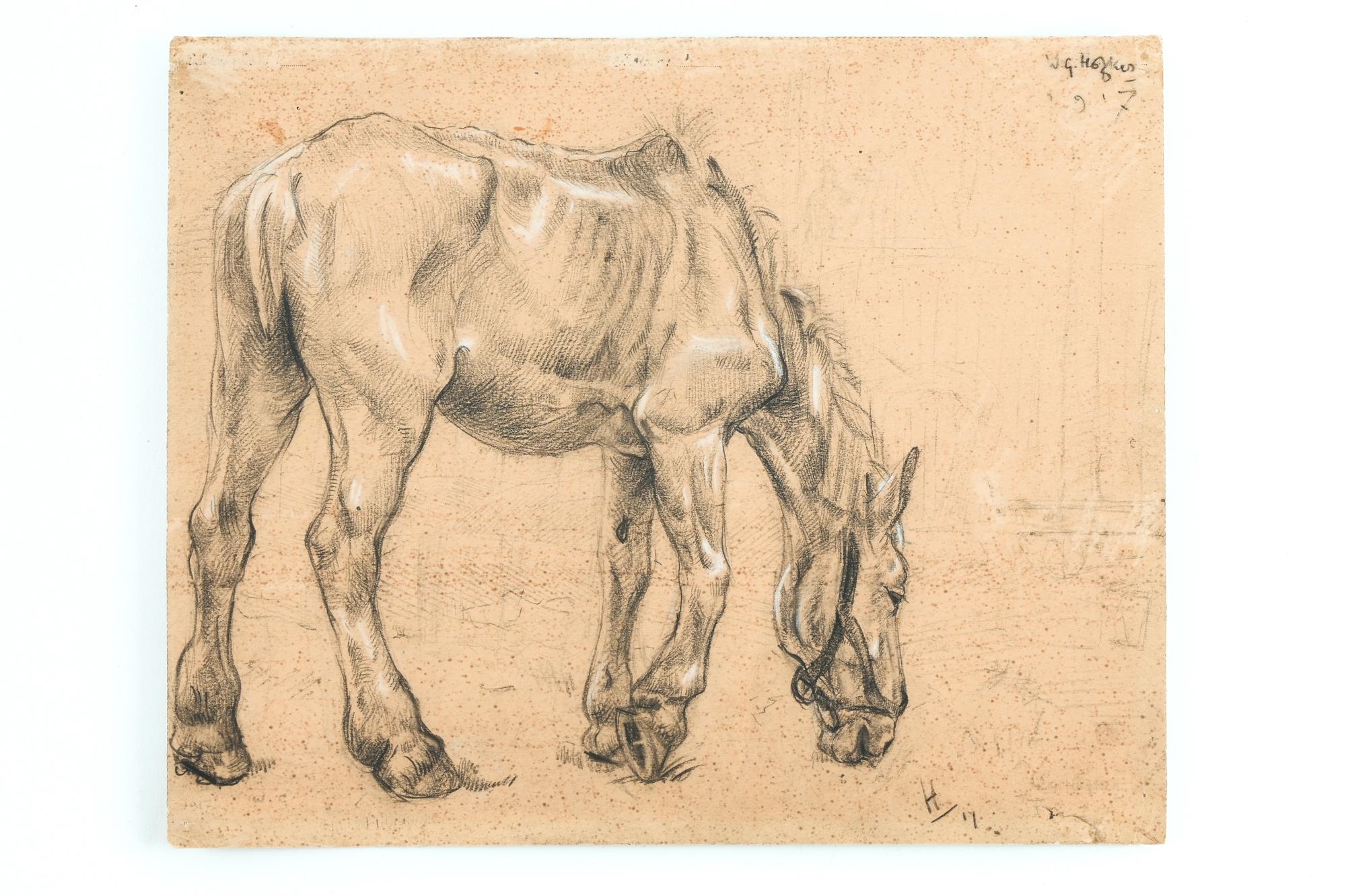 Willem Gerard Hofker | Man from Batuboelan | MutualArt