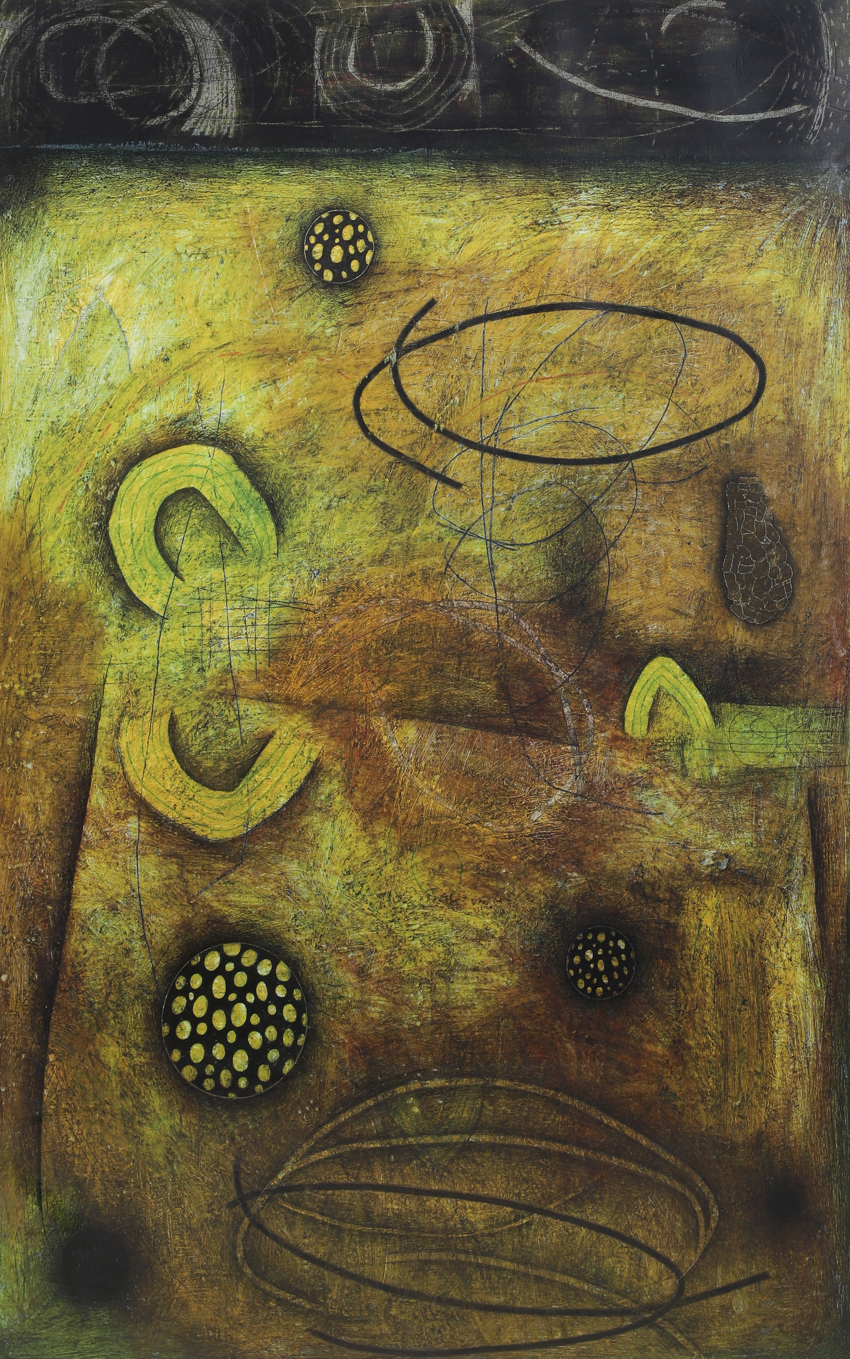 Charles Burwell | Bio Fora (2007) | MutualArt
