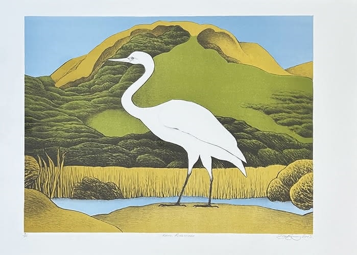 Don Binney | Vanishing Wellington Bird (1971) | MutualArt