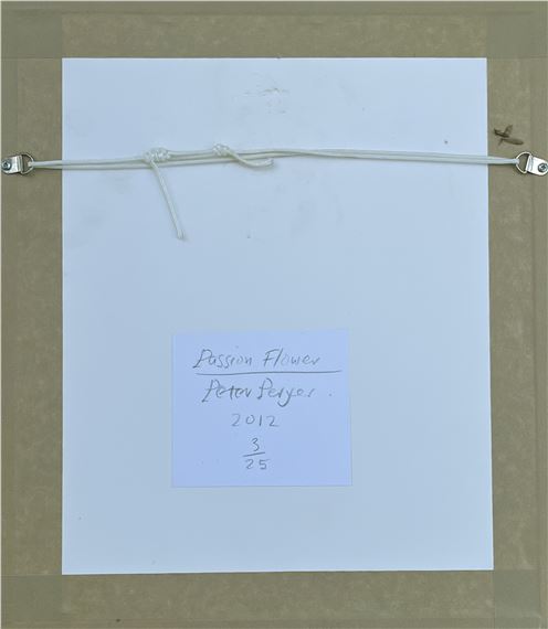 Peter Peryer | Passion Flower, 2012 (2012) | MutualArt