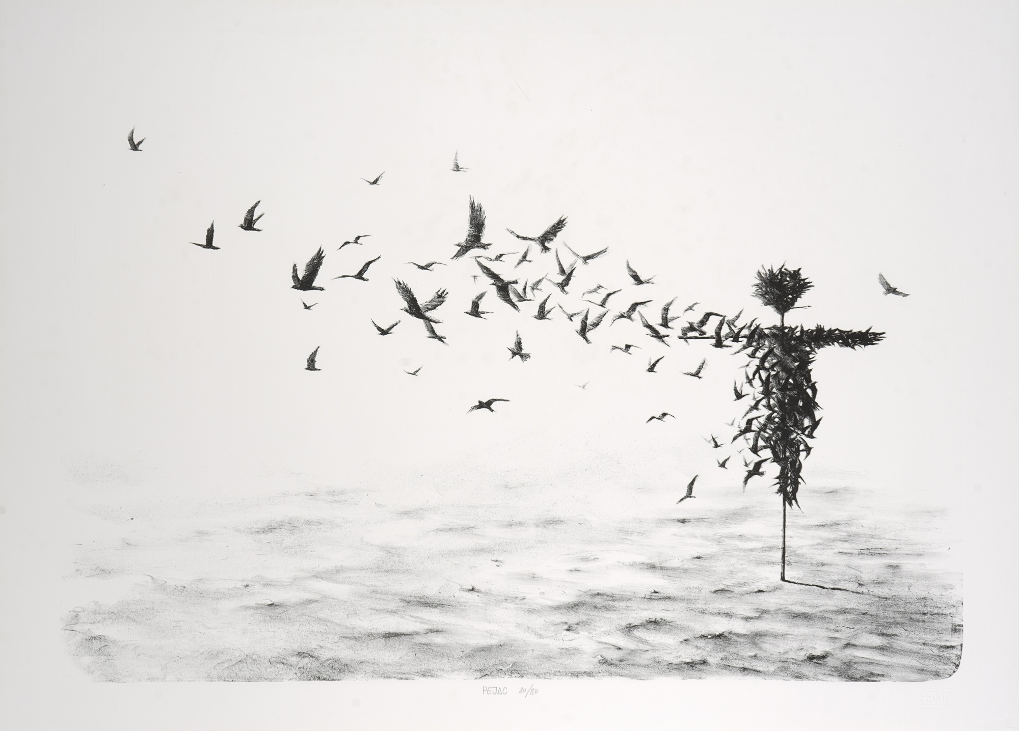 Pejac | Scattercrow (2017) | MutualArt