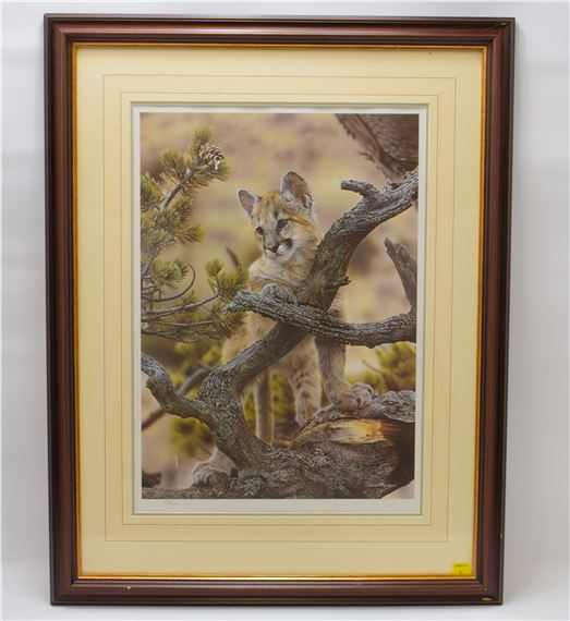 Steven Townsend | Curiosity | MutualArt