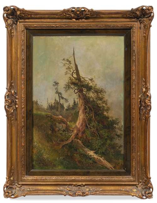 Alexandre Calame | Tree study | MutualArt
