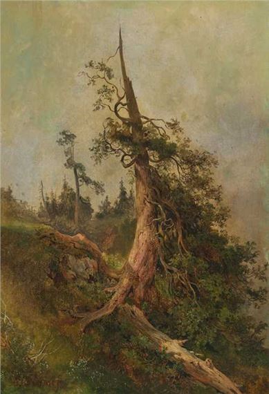 Alexandre Calame | Tree study | MutualArt