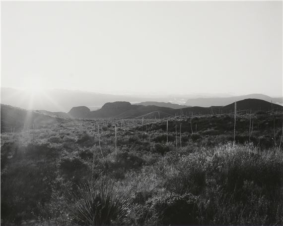 Jack Ridley | 7 Artworks at Auction | MutualArt