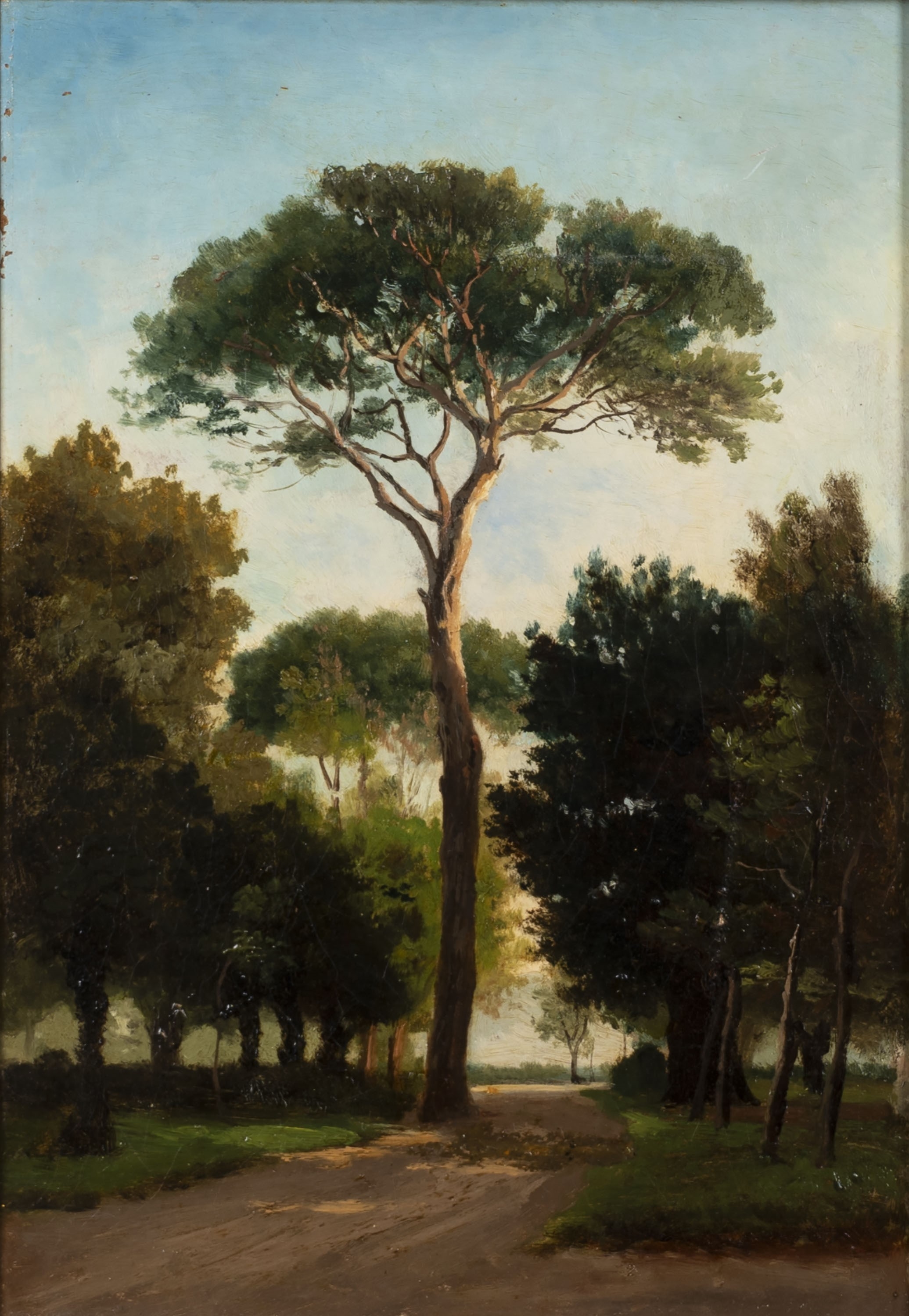 Giuseppe Haimann | Botanical Garden in Cairo | MutualArt