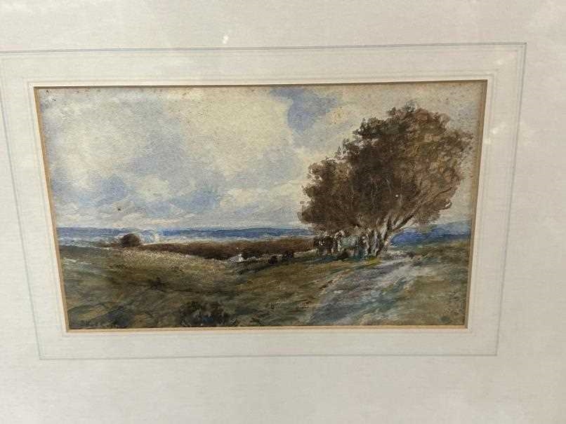 Charles Harrington | The Valley of The Cuckmere (1925) | MutualArt