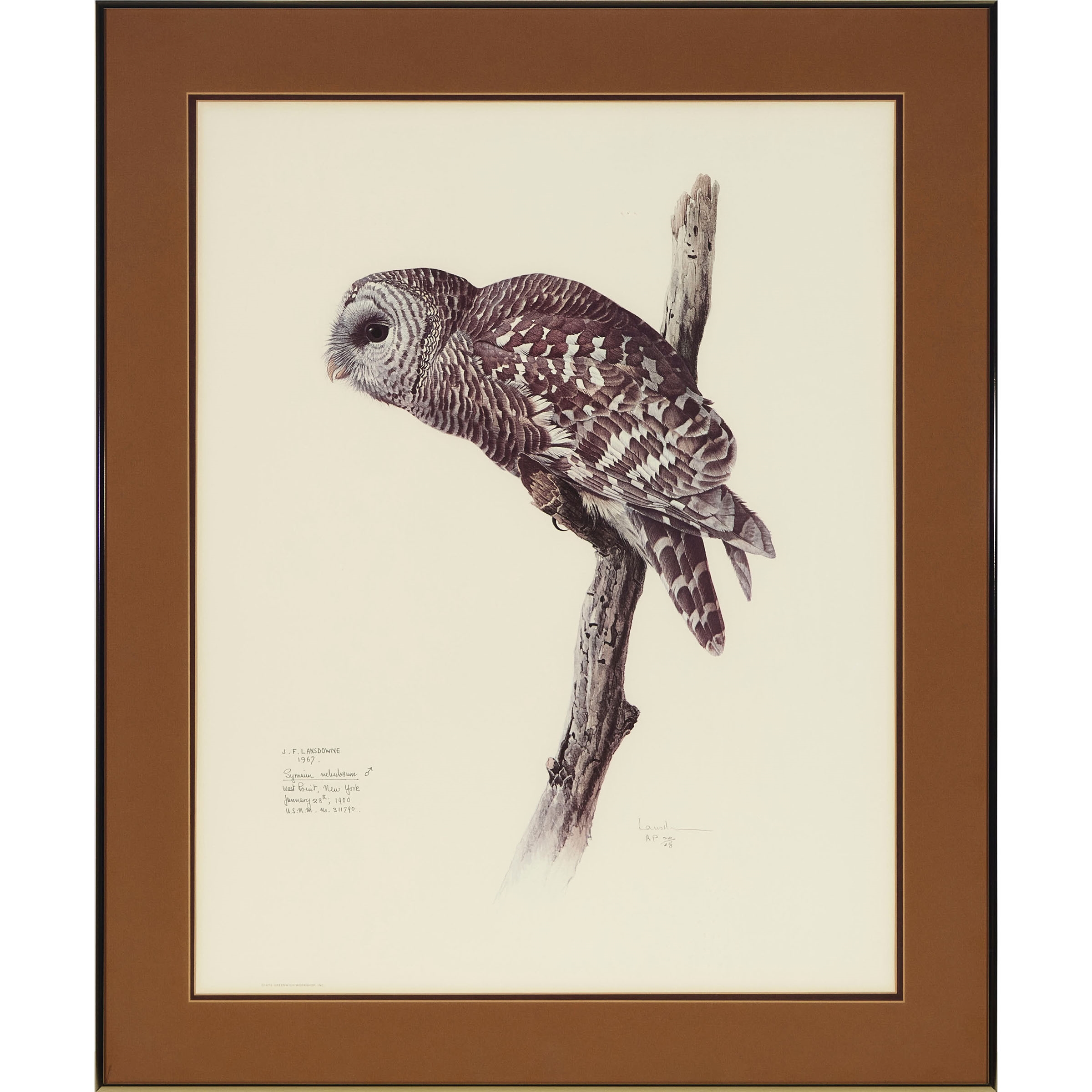 James Fenwick Lansdowne | BARRED OWL | MutualArt