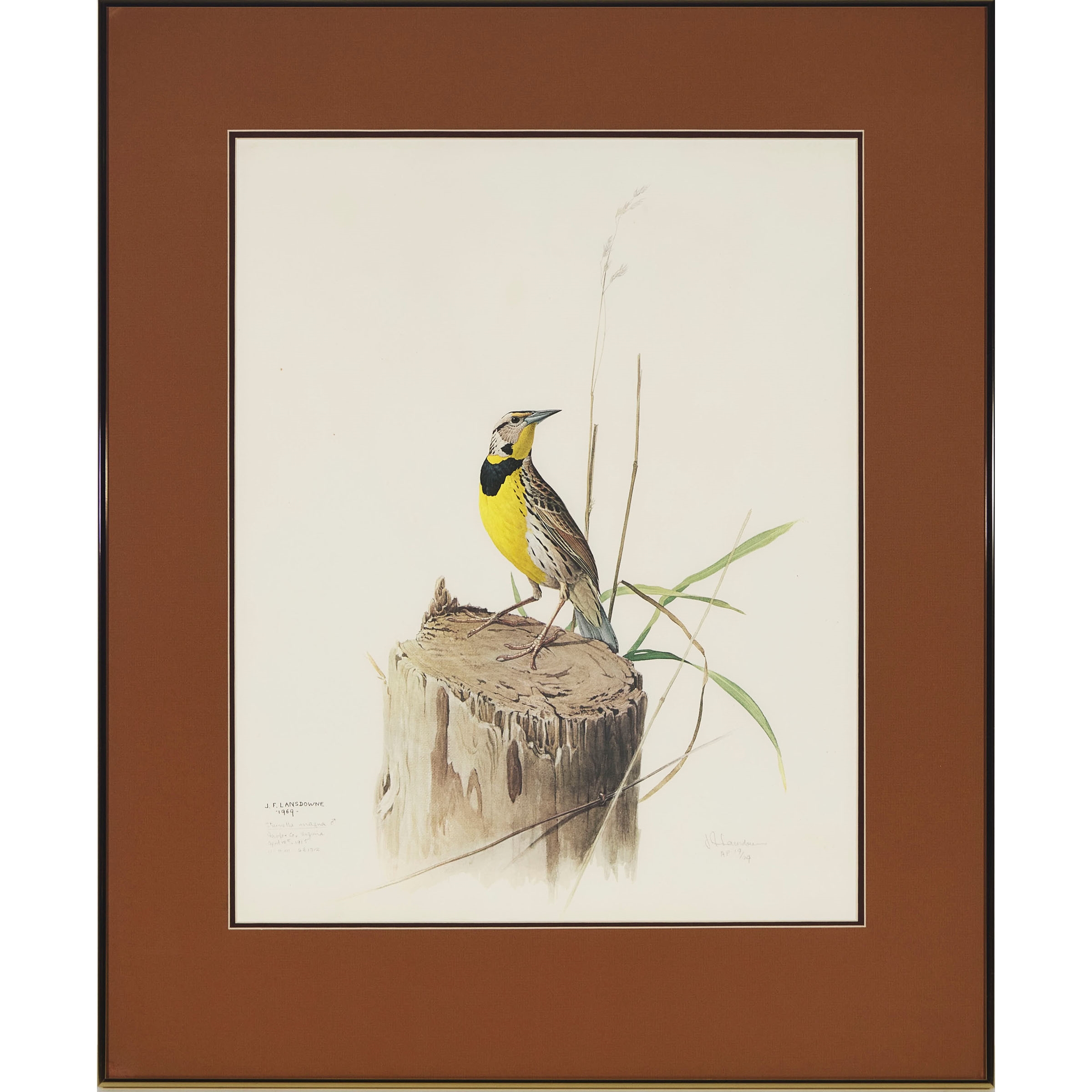 James Fenwick Lansdowne | EASTERN MEADOWLARK | MutualArt