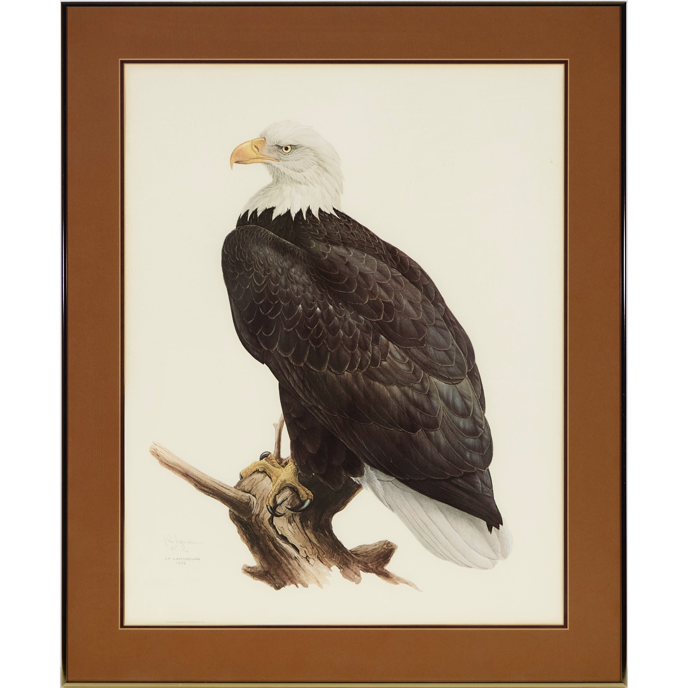 James Fenwick Lansdowne | BALD EAGLE | MutualArt