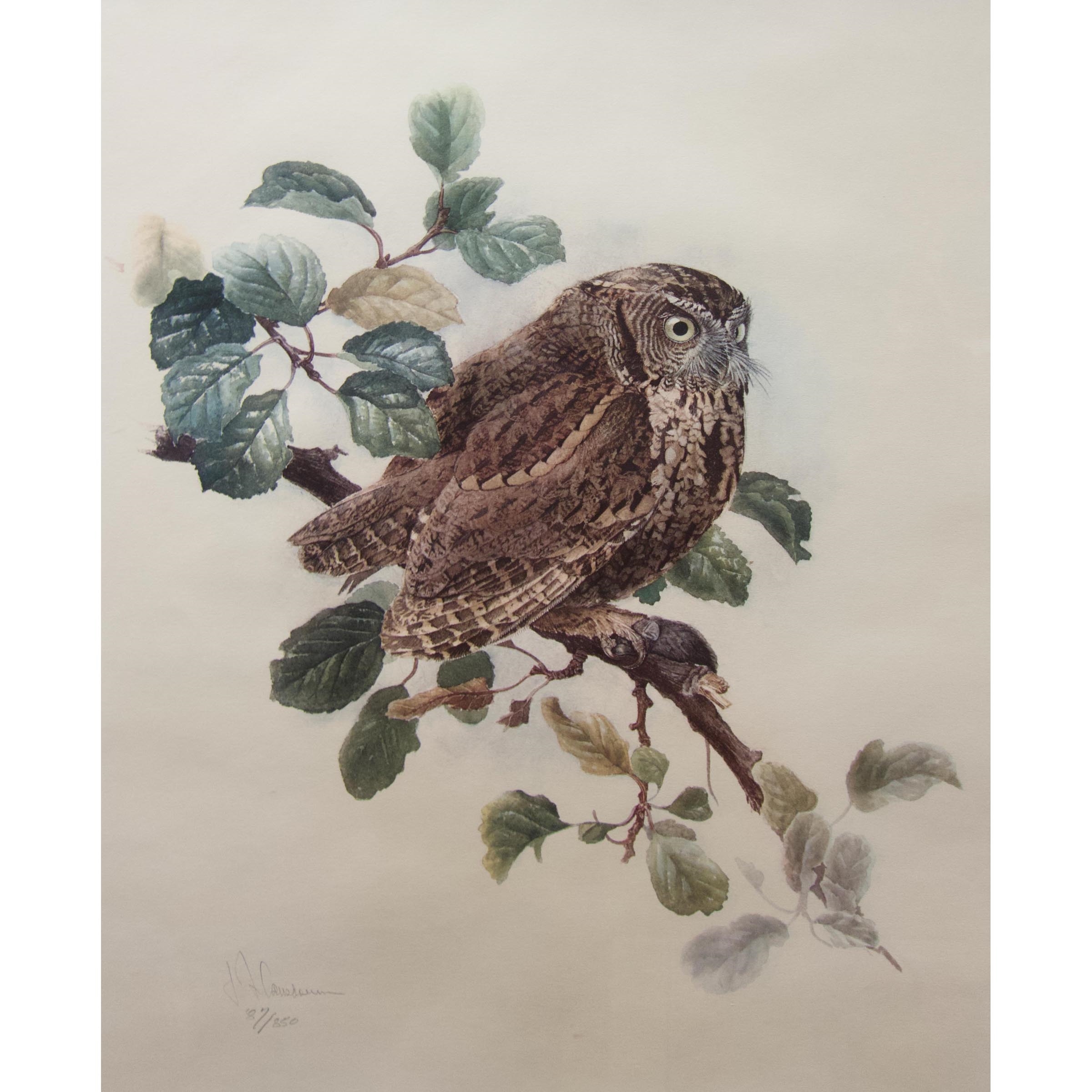 James Fenwick Lansdowne | SCREECH OWL | MutualArt