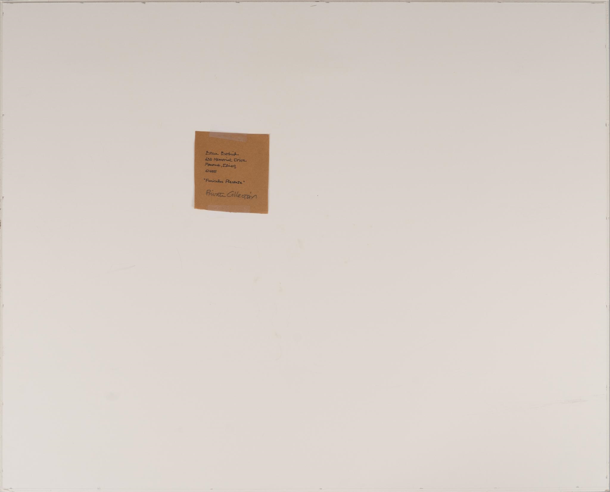 Bruce Bobick | Funiculus Placenta | MutualArt