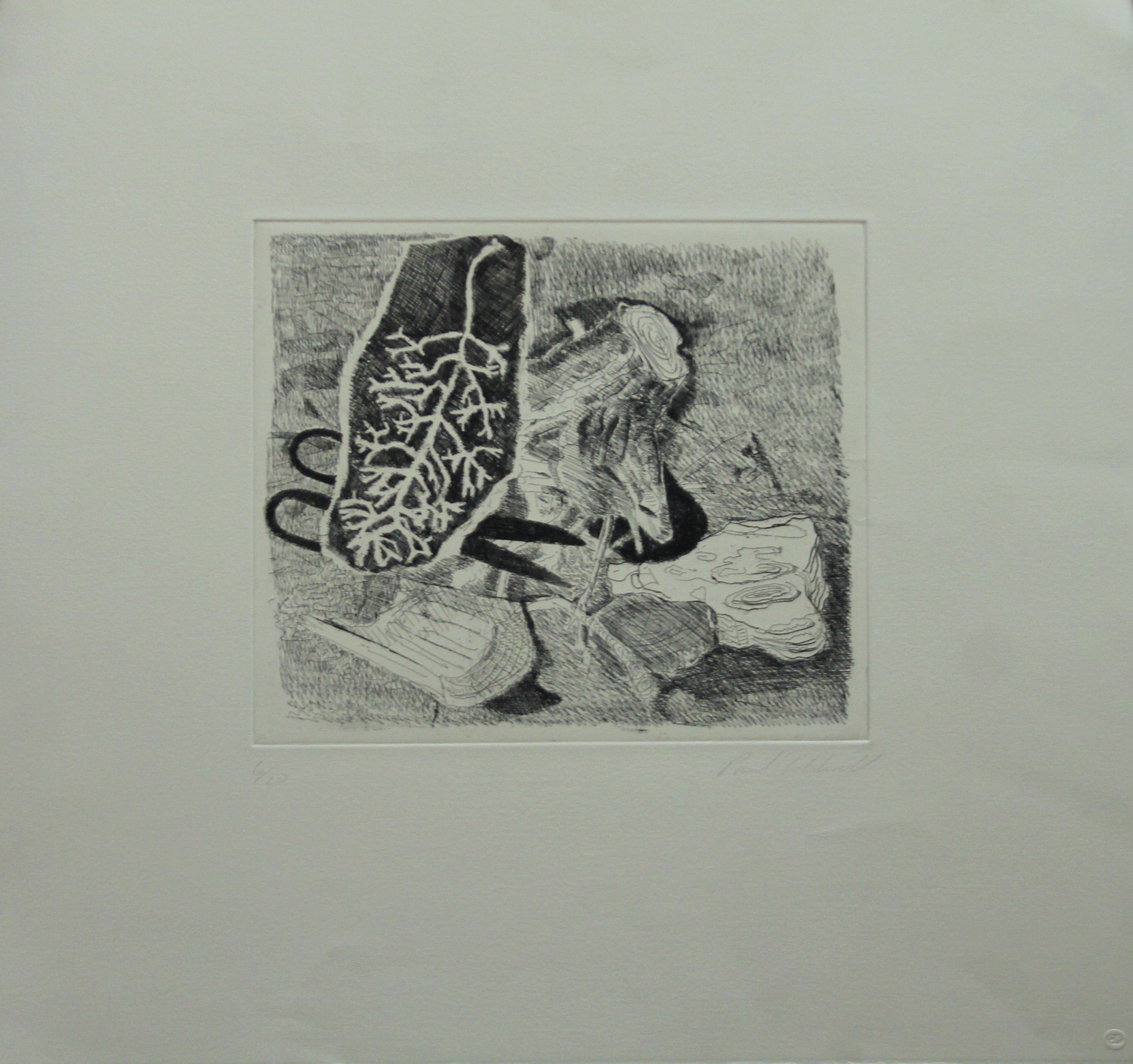 Paul Coldwell | Still Life | MutualArt
