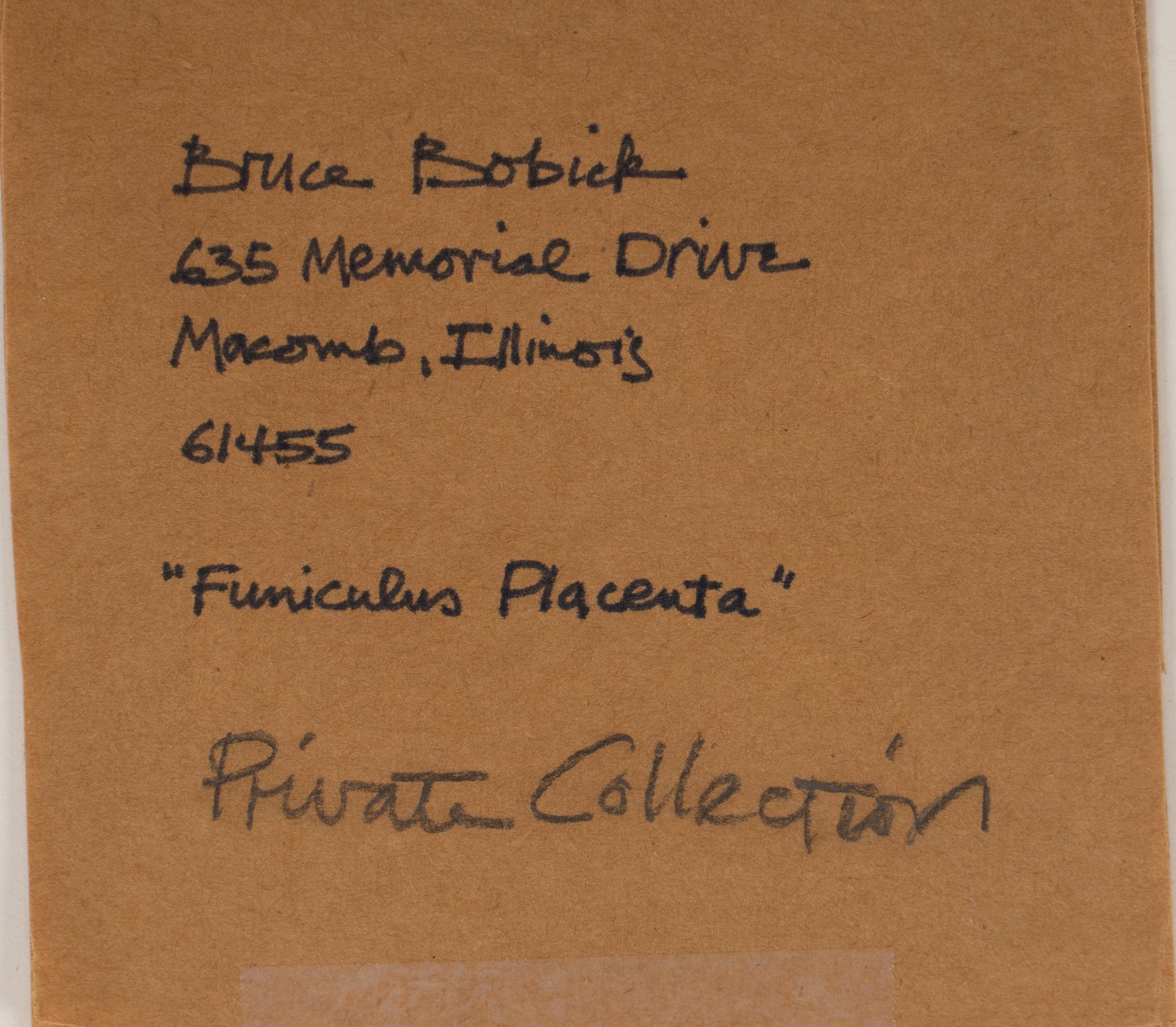 Bruce Bobick | Funiculus Placenta | MutualArt