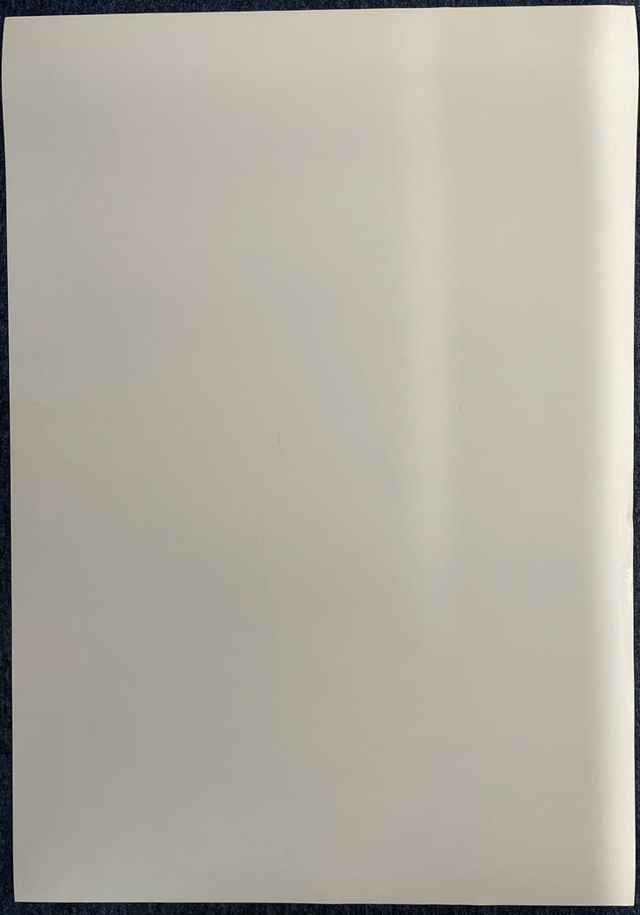 Rodolphe Salis | Le Chat Noir (1896) | MutualArt