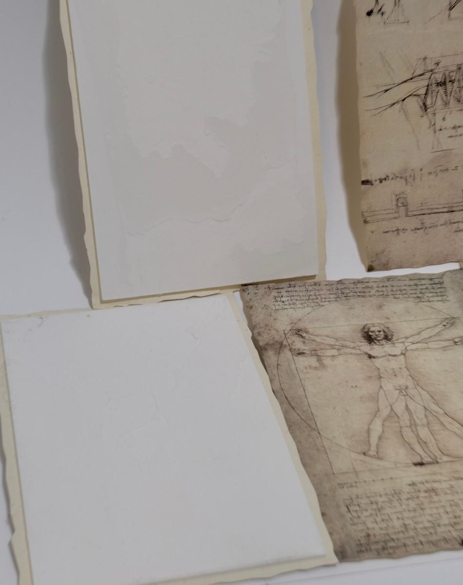 Leonardo da Vinci | LEONARDO DA VINCI PRINTS | MutualArt