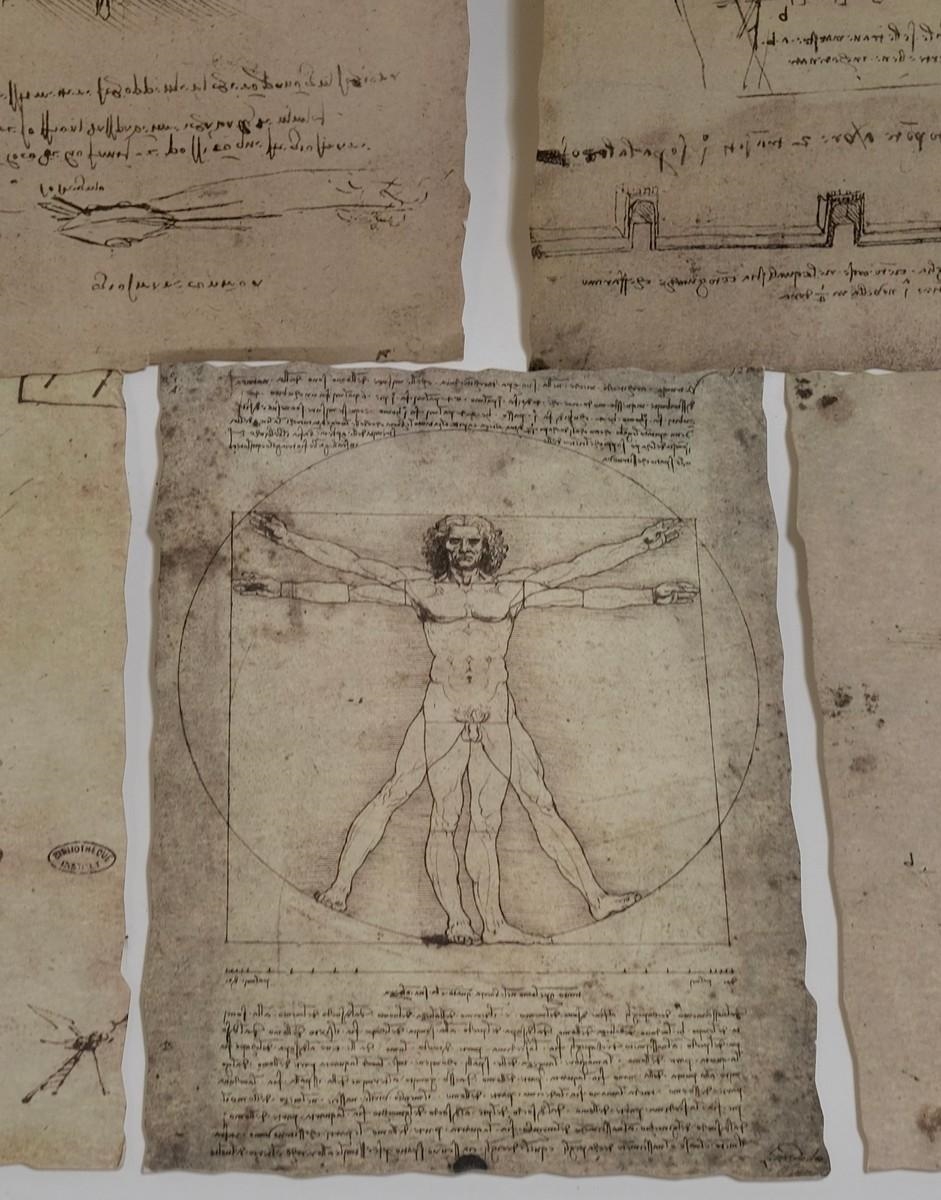 Leonardo da Vinci | LEONARDO DA VINCI PRINTS | MutualArt