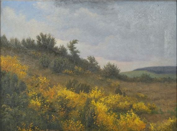 Franz Herrmann | Landschaft mit gelbem Ginster | MutualArt