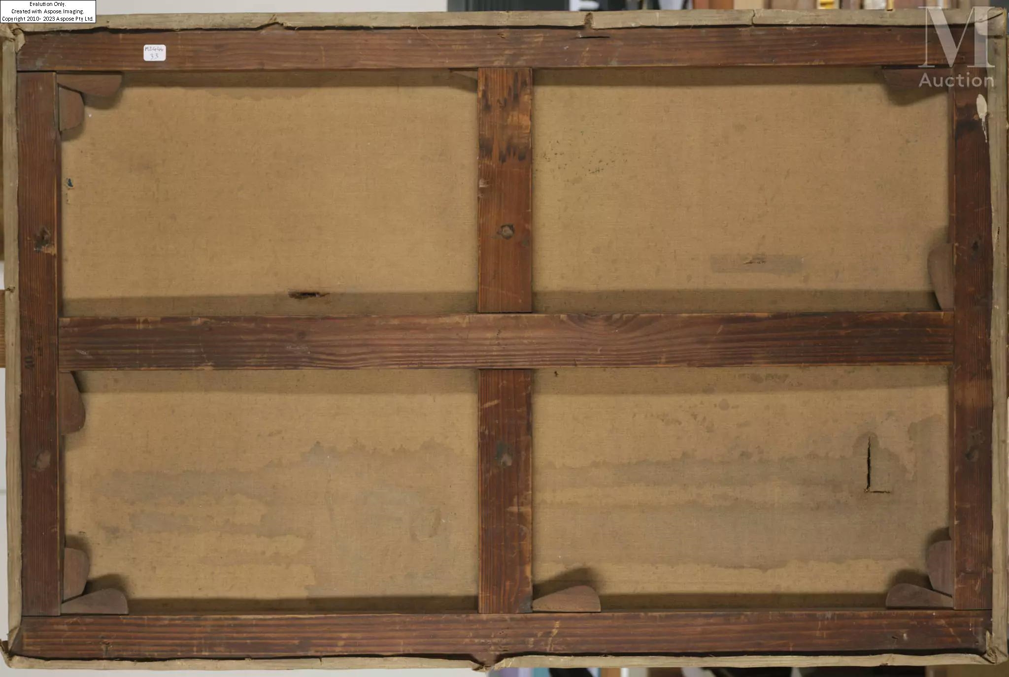 Albert Sébille | Le paquebot VALDIVIA devenu Navire-hôpital sous ...