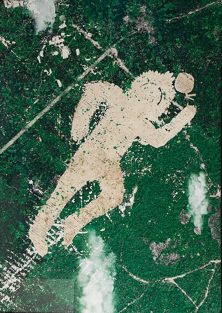 Denilson Baniwa | Natureza morta | MutualArt