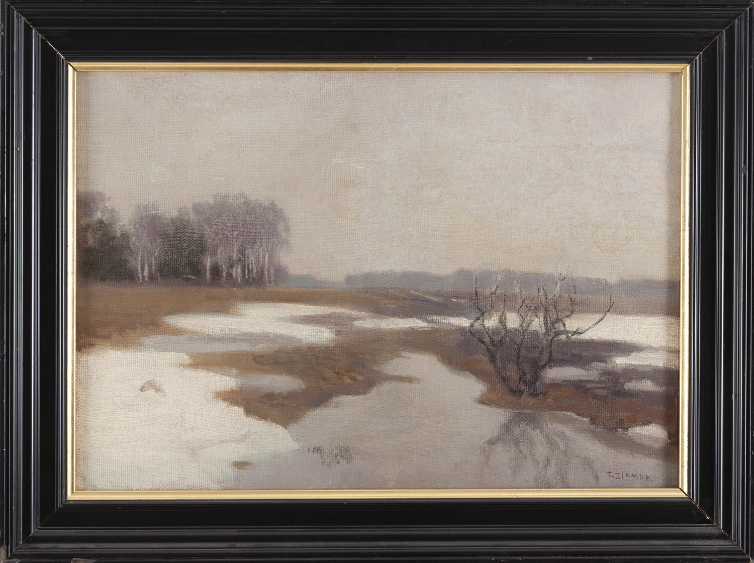 Teodor Ziomek | Spring thaw | MutualArt
