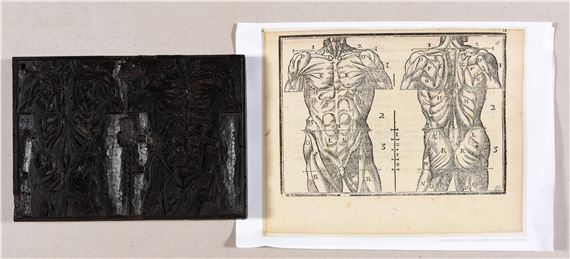 Jean Cousin the Younger | Male torso from L'art de dessiner, de maistre Jean Cousin, excellent ...
