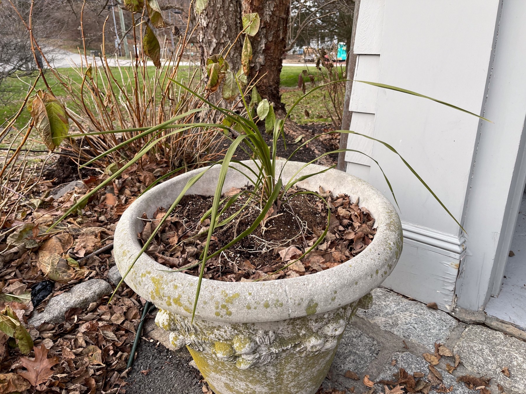 Planters | Cast Stone Garden Planters | MutualArt