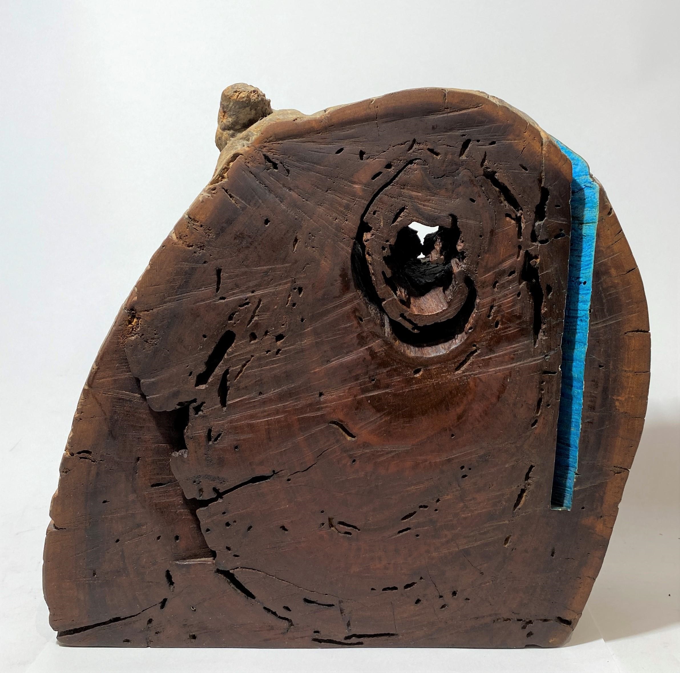 AñA Wojak | Back Sun with Vertical Sky (2008) | MutualArt