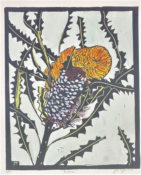Jude Taylor | Banksia (1996) | MutualArt