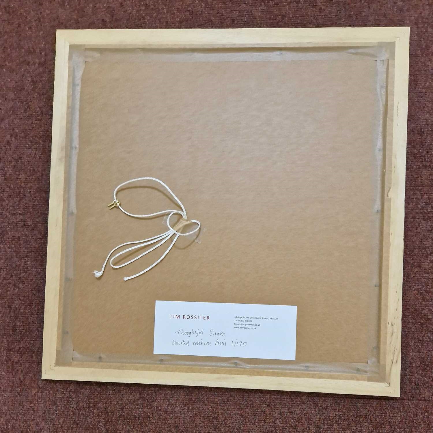 Tim Rossiter | The Snake | MutualArt