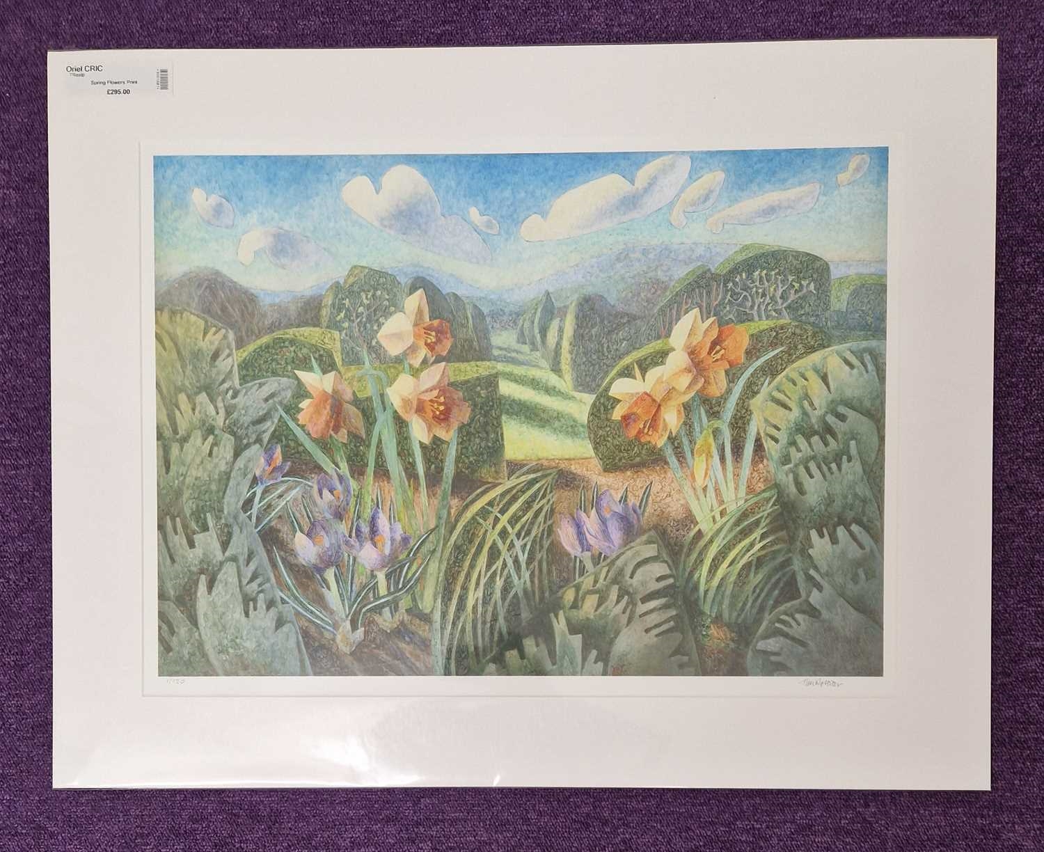 Tim Rossiter | Spring Flowers | MutualArt