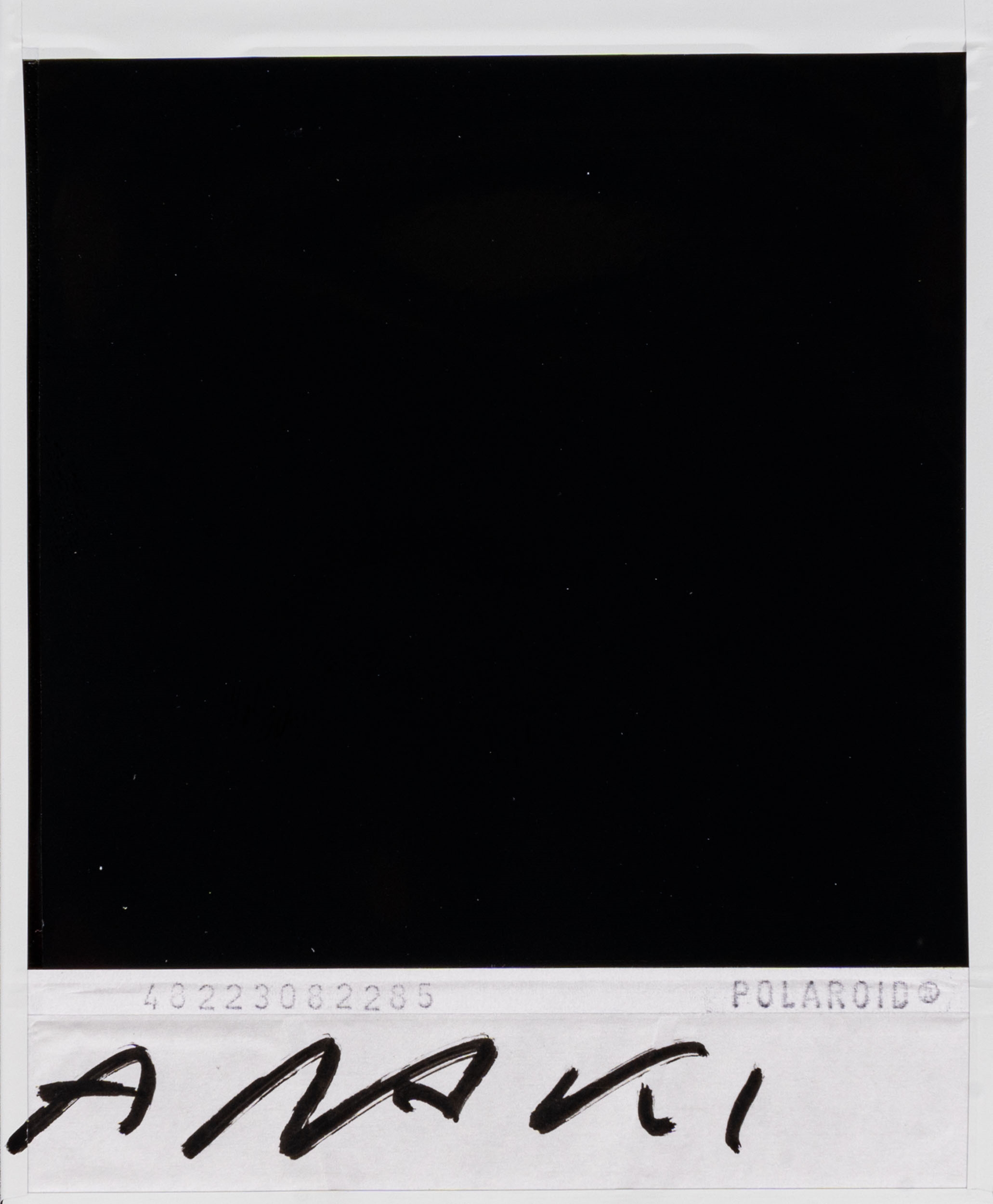 Nobuyoshi Araki | Untitled | MutualArt