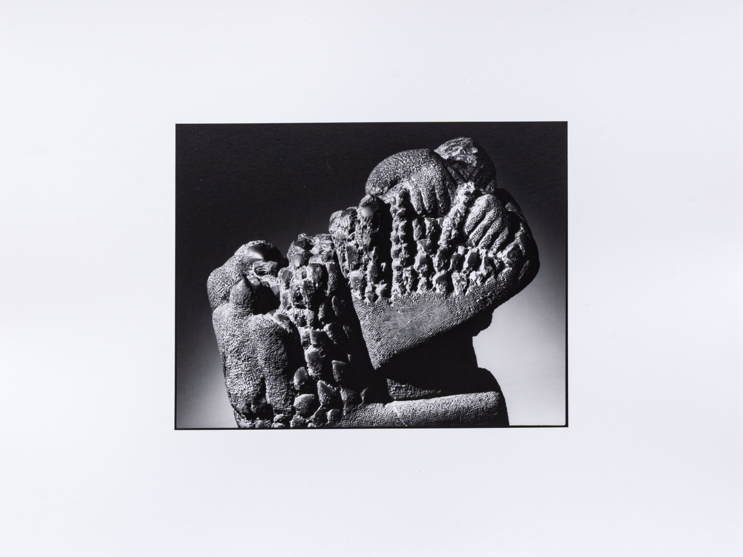 Mario Carrieri | Sedici sculture di Gino Cosentino fotografate da Mario ...
