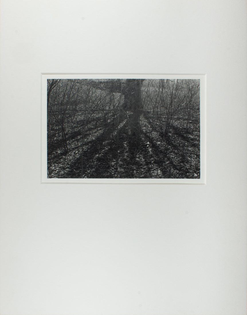 Philip Perkis | Warwick Mountain Series, (1978) | MutualArt
