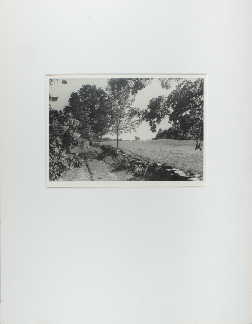 Philip Perkis | Warwick Mountain Series, (1978) | MutualArt