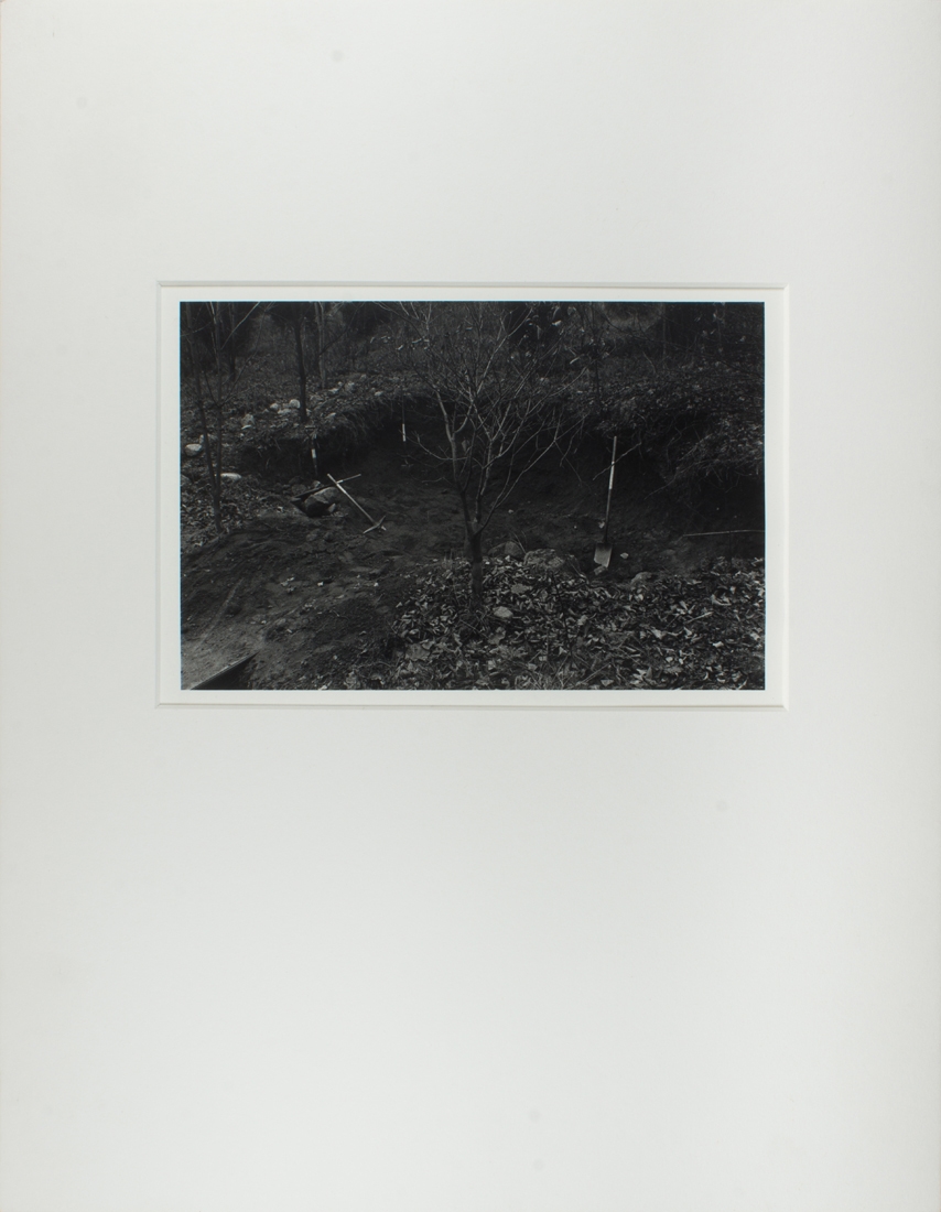 Philip Perkis | Warwick Mountain Series, (1978) | MutualArt