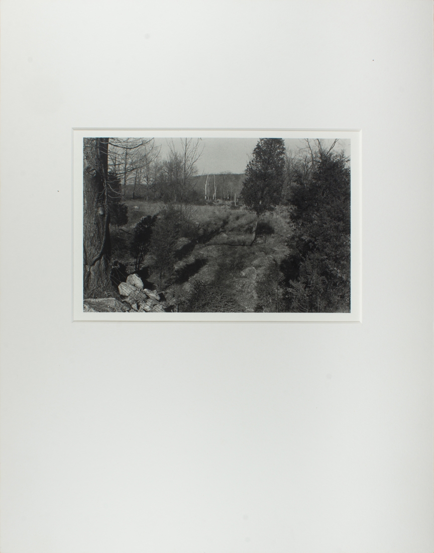 Philip Perkis | Warwick Mountain Series, (1978) | MutualArt