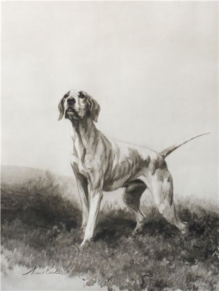 Maud Alice Earl | Scottish Terriers | MutualArt